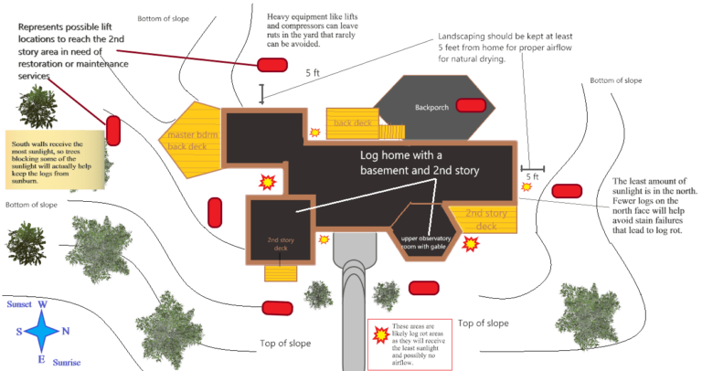 Log Rot: Types of Rot Fungi and Decay on Log Cabins