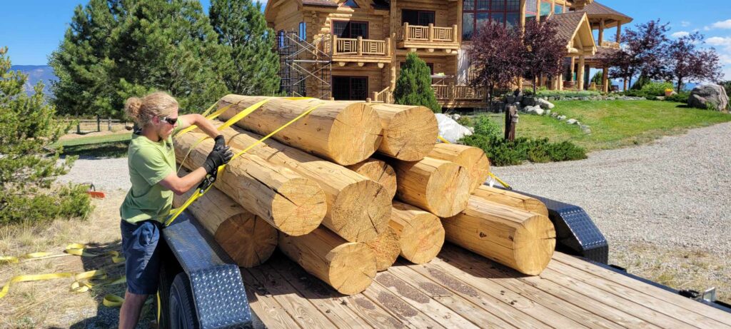 Career & Professional Expectations of Log Masters