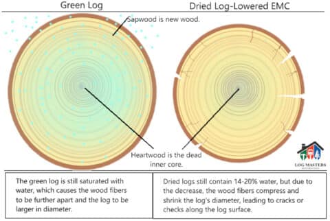 Best Types of Wood for Log Home Building | Log Masters Blog