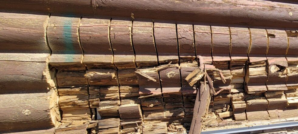 Log Rot Repair & Replace | Log Masters